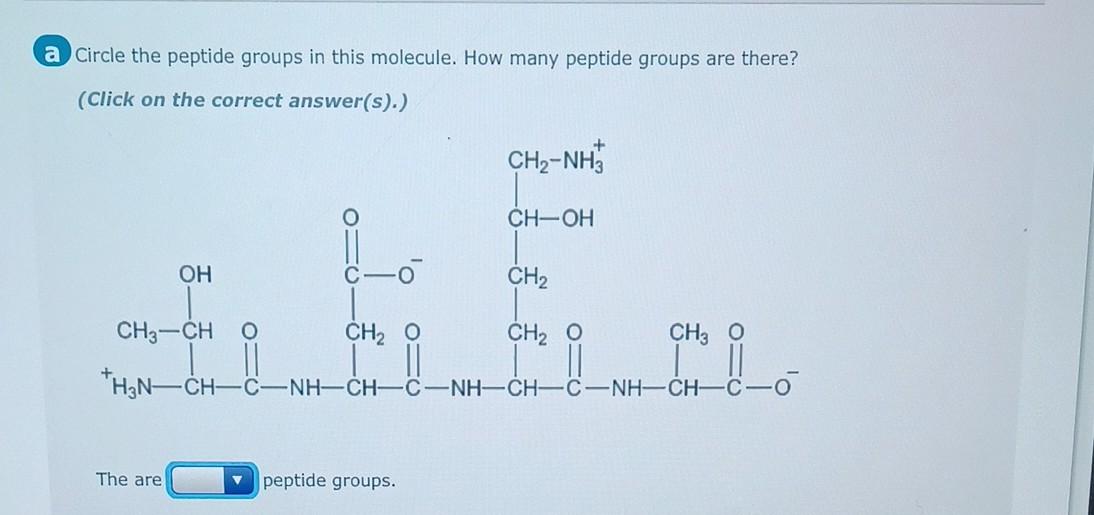 Solved Circle the peptide groups in this molecule. How many | Chegg.com