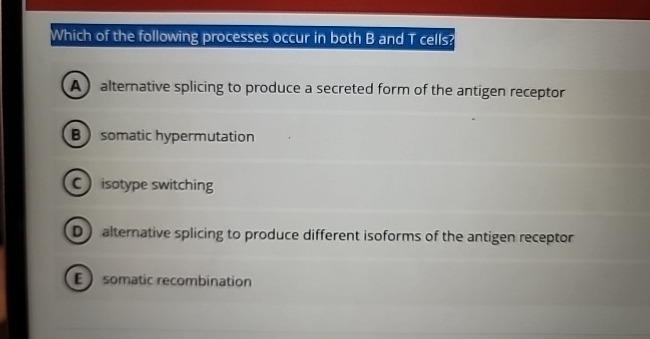 Solved Which of the following processes occur in both B and | Chegg.com