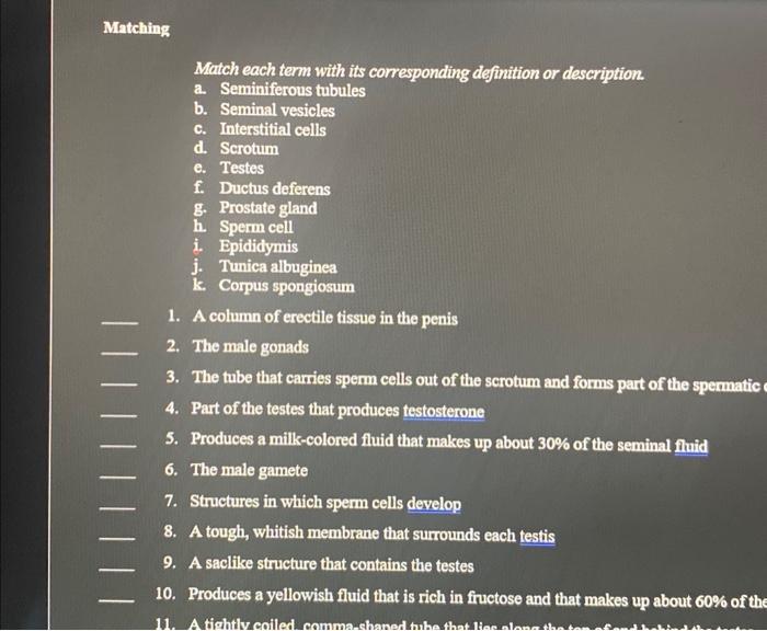 Matching Match each term with its corresponding | Chegg.com