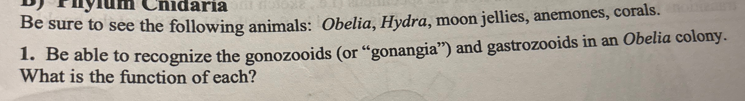 Solved Be able to recognize the gonozooids (or "gonangia") | Chegg.com