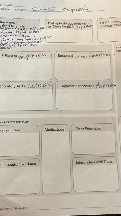 Solved Pathophysiology Related to Client Problem depressway | Chegg.com