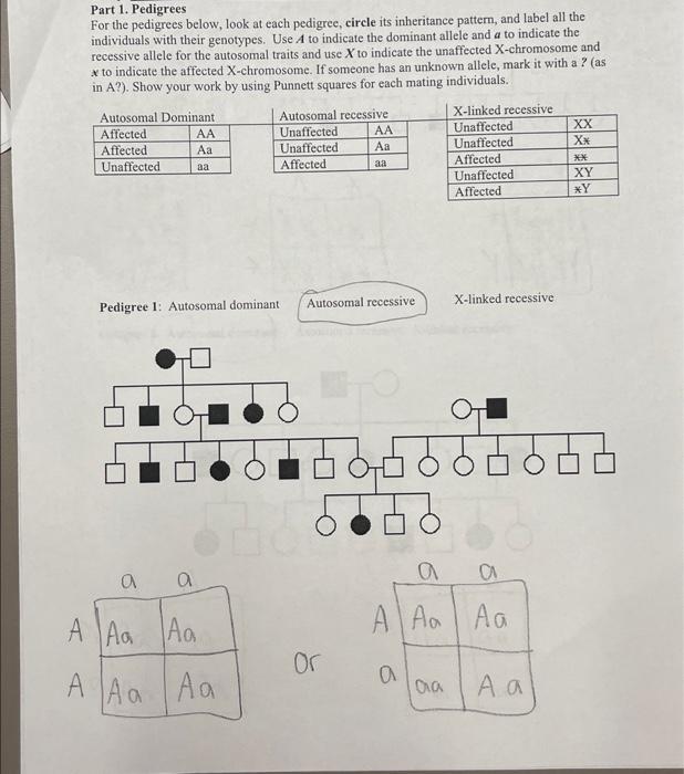 Solved Part 1. Pedigrees For the pedigrees below, look at | Chegg.com