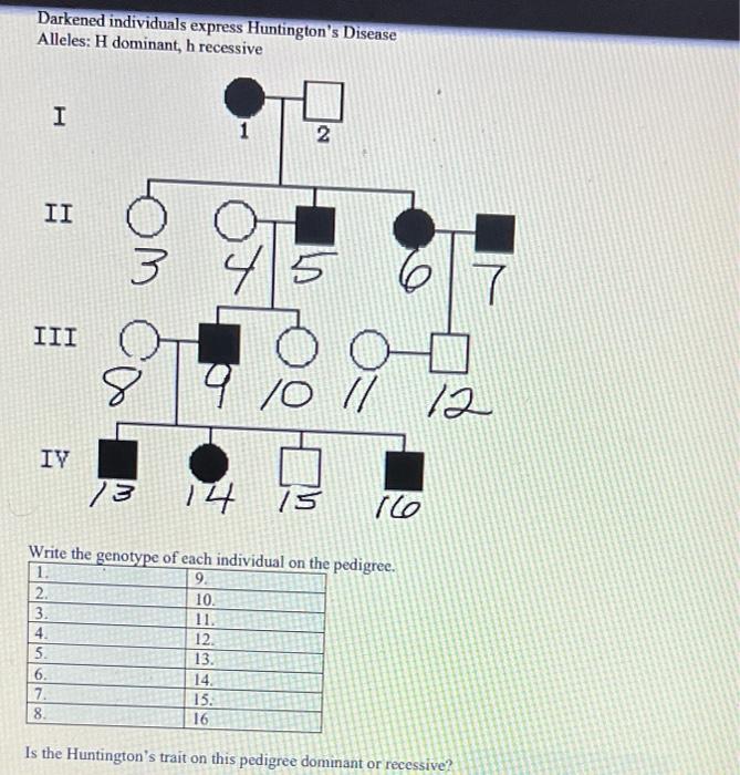 Solved Evolution: Founding Theories and Principles Lab | Chegg.com