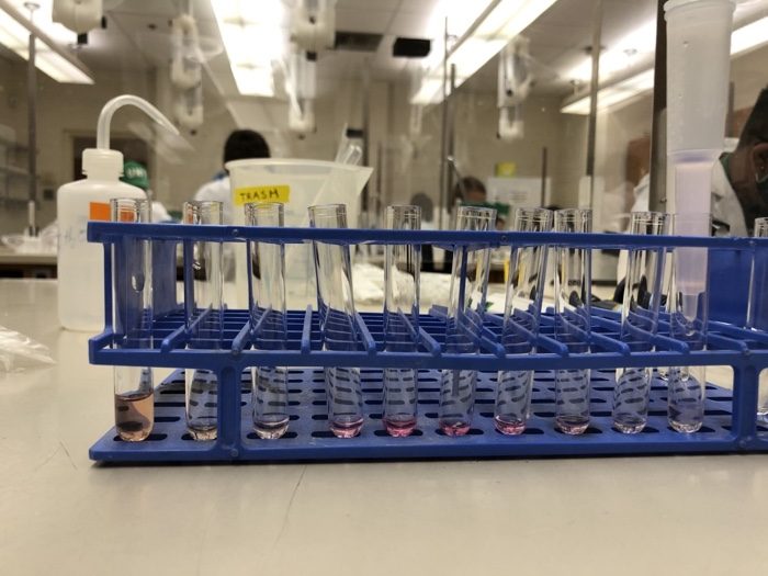 Solved size exclusion testBefore you performed the | Chegg.com