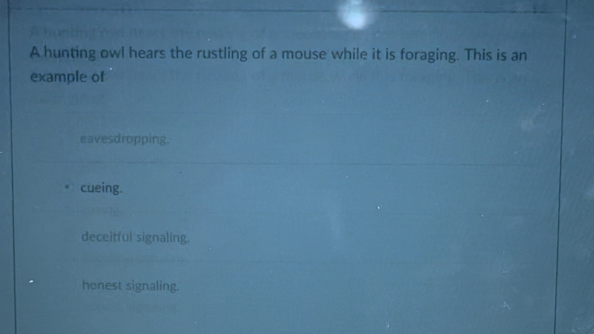 Solved A hunting owl hears the rustling of a mouse while it | Chegg.com