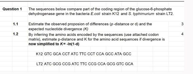 Solved The sequences below compare part of the coding region | Chegg.com