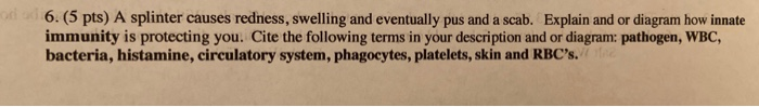 Solved or 6. (5 pts) A splinter causes redness, swelling and | Chegg.com