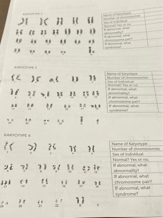 Solved \begin{tabular}{|l|l|l|} \hline \multicolumn{1}{|c|}{ | Chegg.com