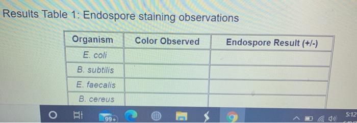 Solved Endospore slides: You will see the name of the | Chegg.com