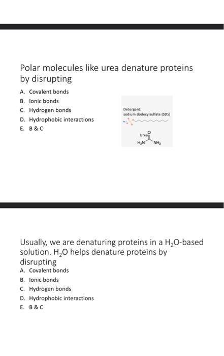 Solved Polar molecules like urea denature proteins by | Chegg.com