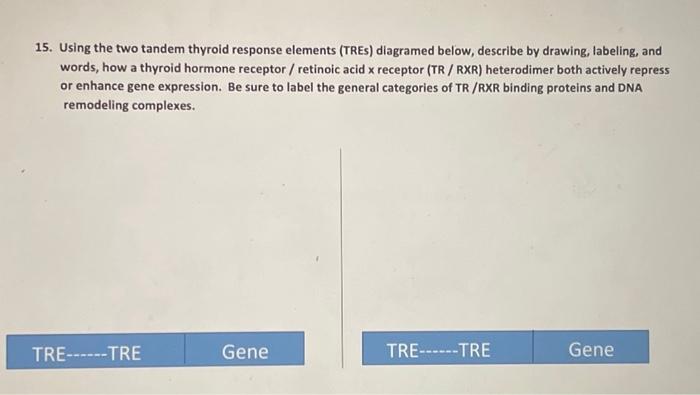 Solved 15. Using the two tandem thyroid response elements | Chegg.com