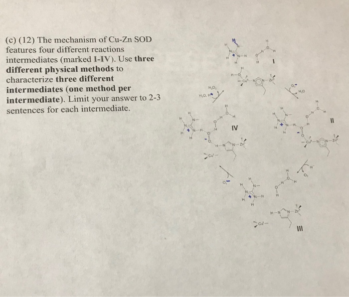 (C) (12) The mechanism of Cu-Zn SOD features four | Chegg.com