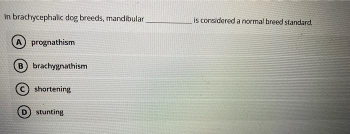 Solved In brachycephalic dog breeds, mandibular is | Chegg.com