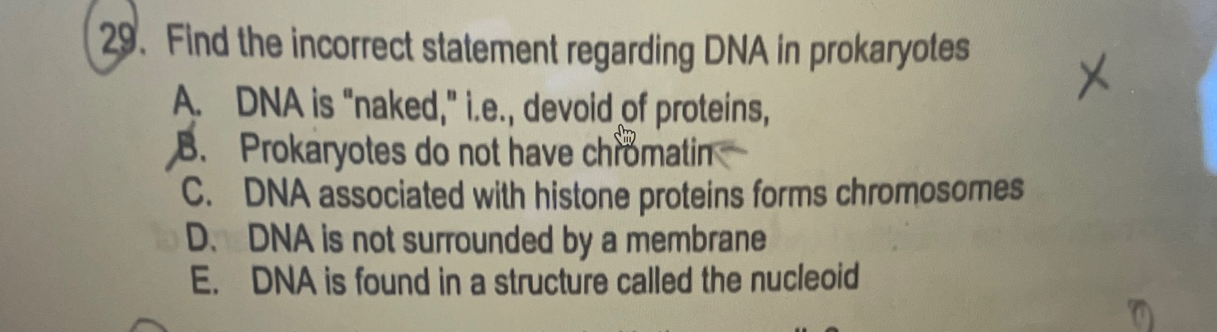 Solved Find the incorrect statement regarding DNA in | Chegg.com