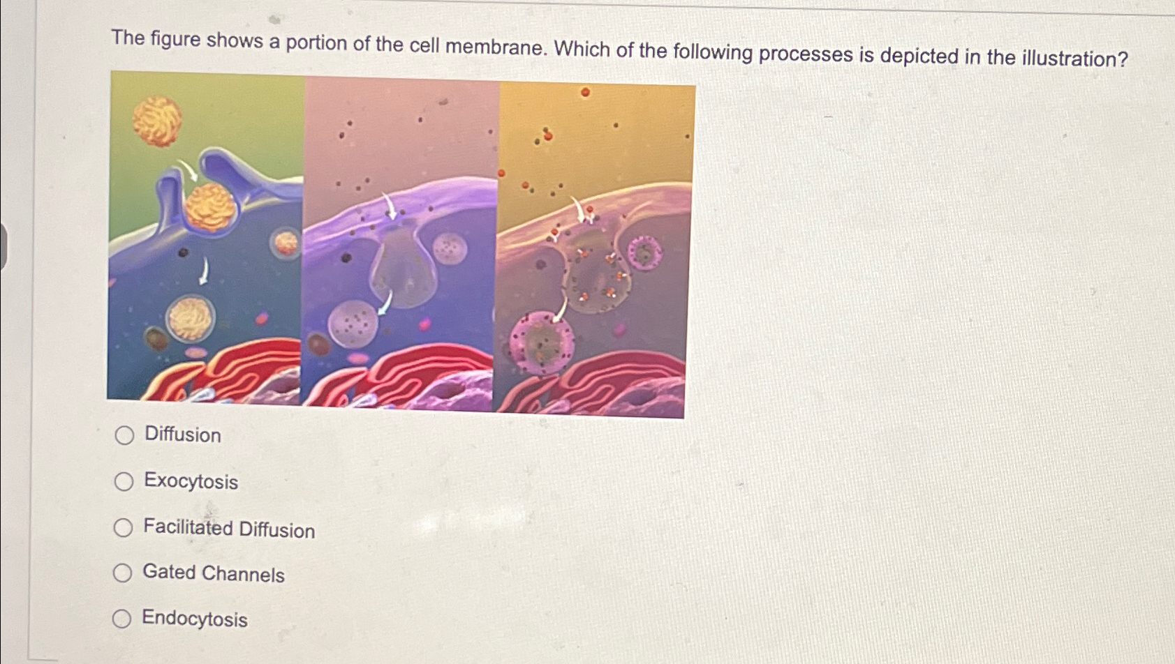 Solved The figure shows a portion of the cell membrane. | Chegg.com