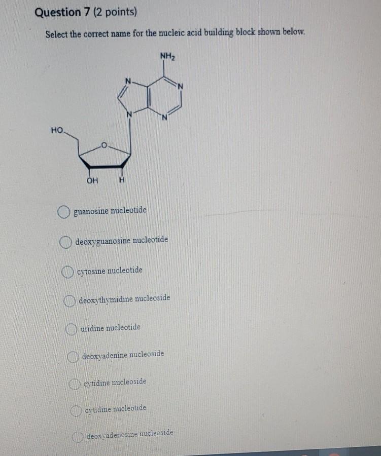 Solved Question 7 (2 points) Select the correct name for the | Chegg.com