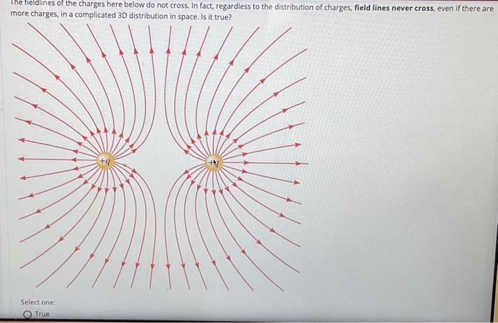 Solved The fieldines of the charges here below do not cross. | Chegg.com