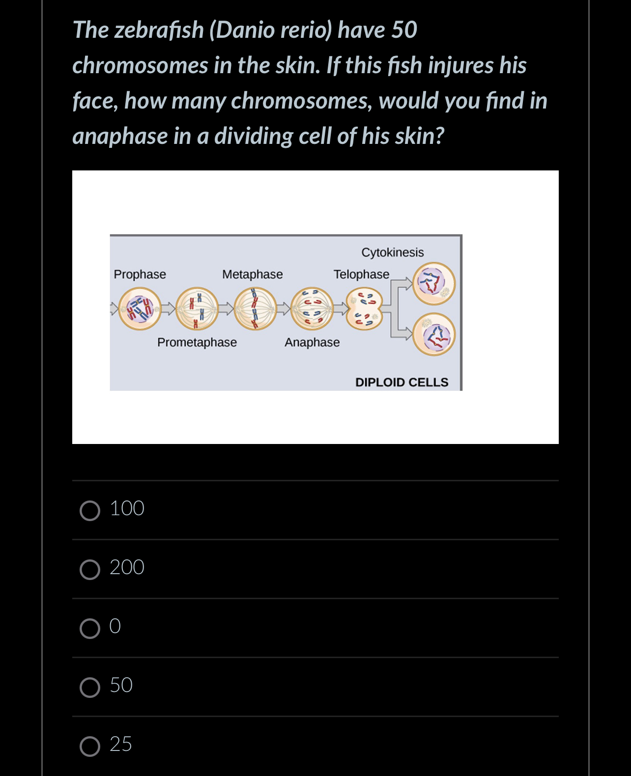 Solved The zebrafish (Danio rerio) ﻿have 50 ﻿chromosomes in | Chegg.com