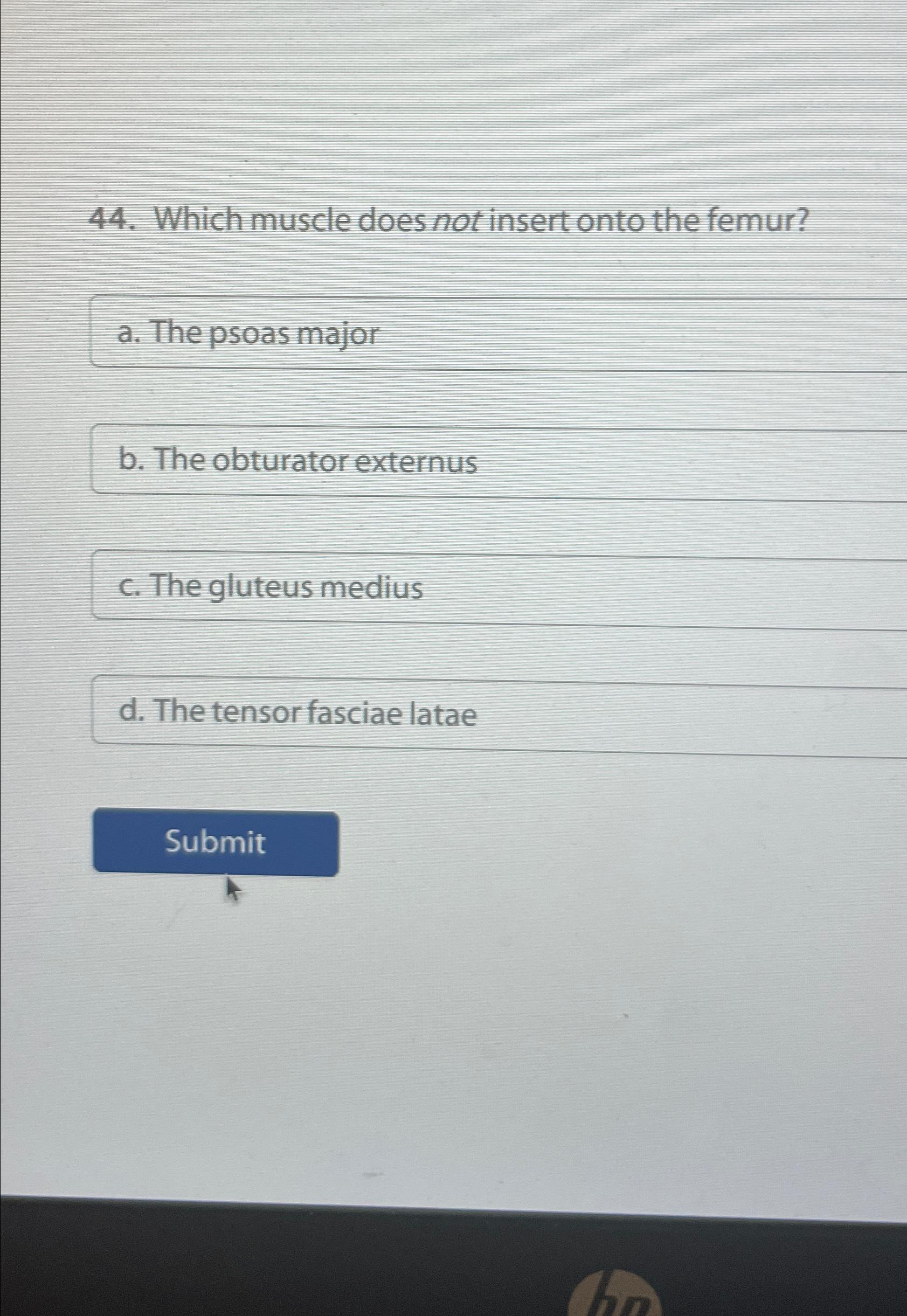 Solved Which muscle does not insert onto the femur?a. ﻿The | Chegg.com