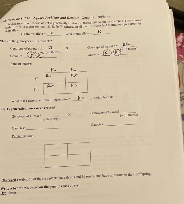 Solved Lab Exercise 8: Chi-Square Problems and Genetics: | Chegg.com