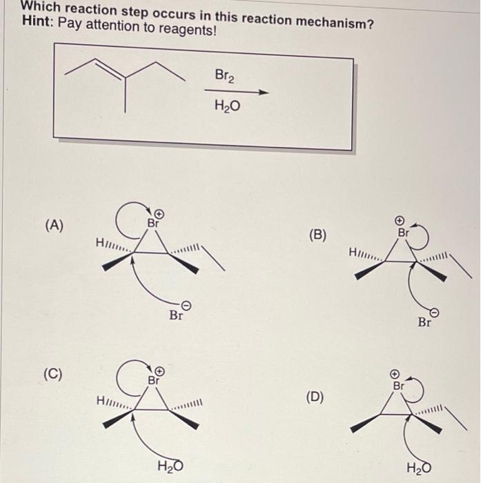 Solved Which reaction step occurs in this reaction | Chegg.com