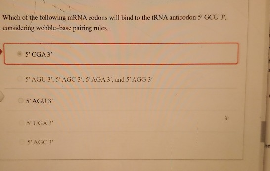 Solved Which of the following mRNA codons will bind to the | Chegg.com