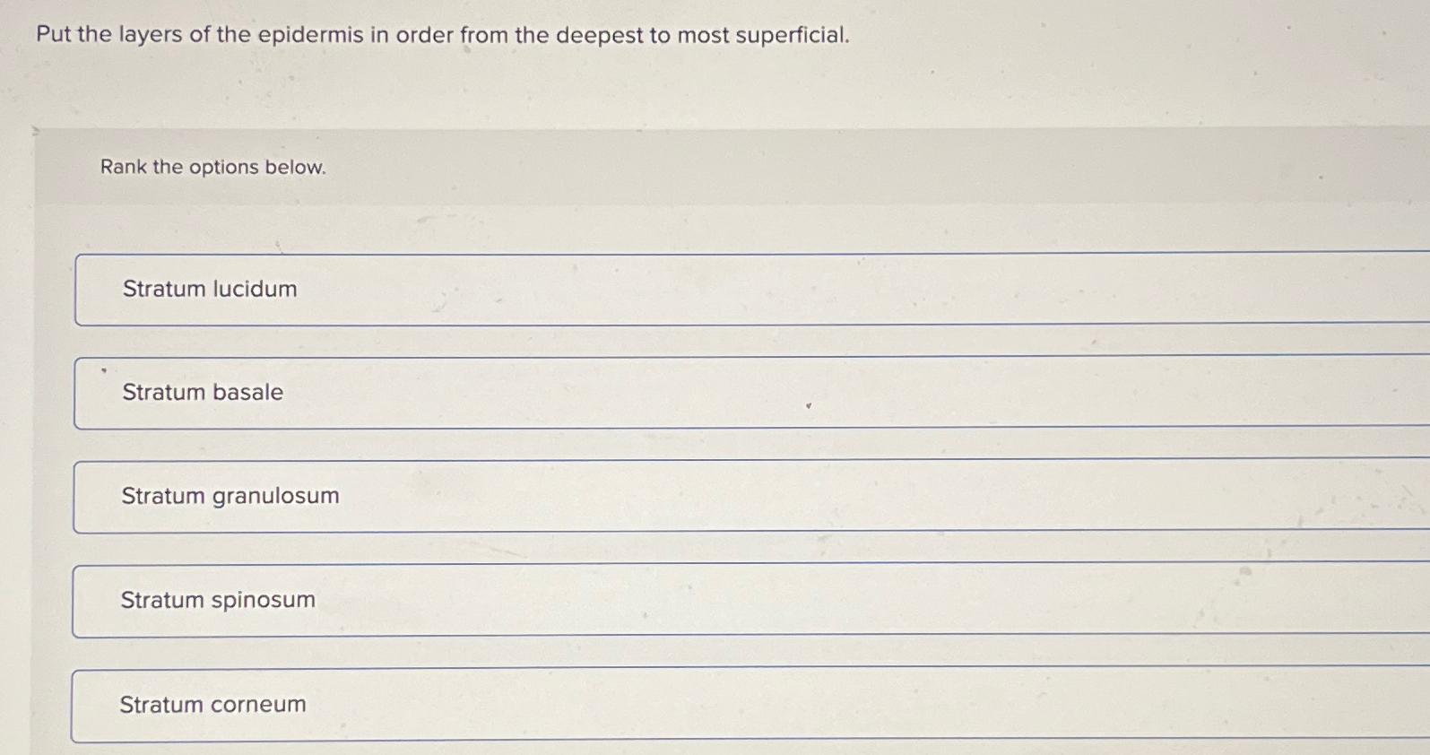 Solved Put the layers of the epidermis in order from the | Chegg.com