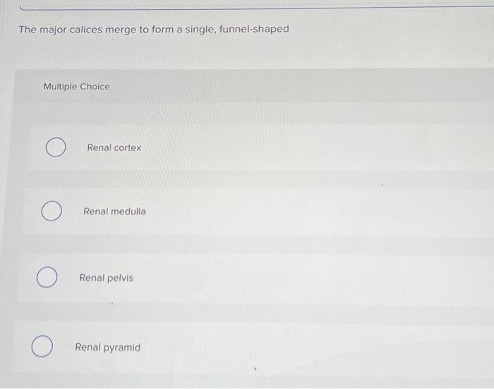 Solved The major calices merge to form a single, | Chegg.com