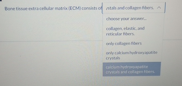 Solved Bone tissue extra cellular matrix (ECM) ﻿consists of | Chegg.com