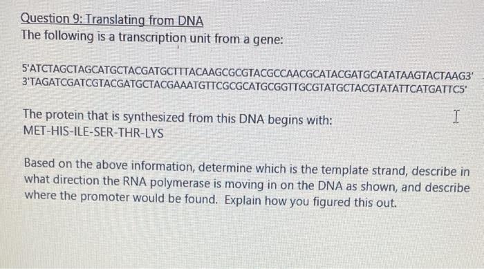 Solved Question 9: Translating from DNA The following is a | Chegg.com