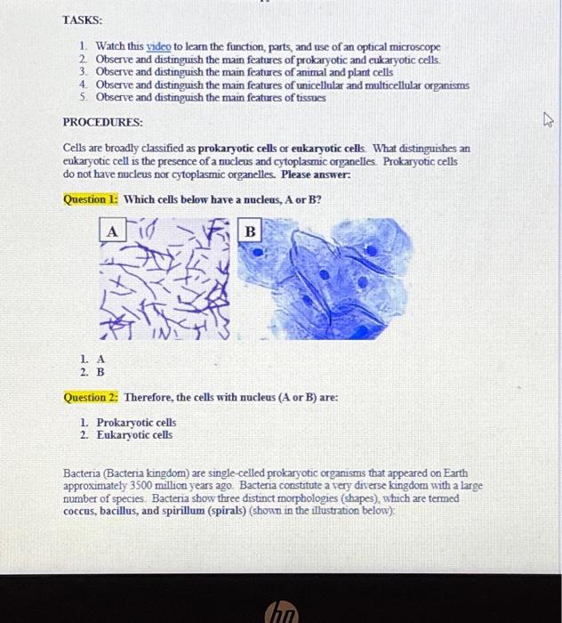 Solved TASKS: 1. Watch this video to learn the function, | Chegg.com
