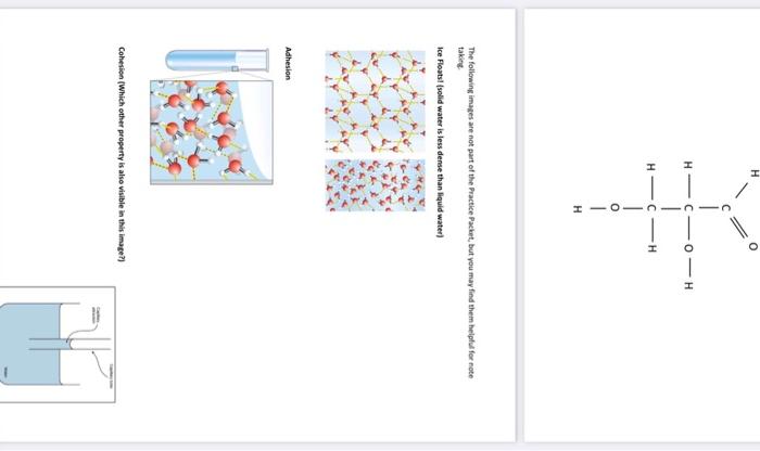 Solved PRACTICE PACKET: Module 2 - Chemistry of Life PPT | Chegg.com