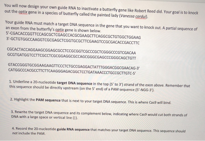 Solved You Will Now Design Your Own Guide RNA To Inactivate Chegg solved-you-will-now-design-your-own-guide-rna-to-inactivate-chegg
