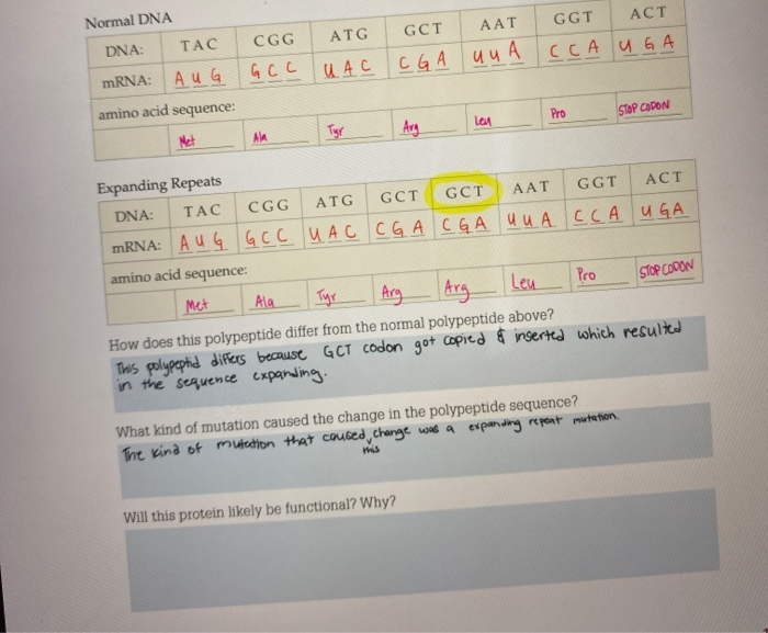 Solved Normal DNA ACT GGT AAT GCT ATG CGG DNA: TAC CCA U G A | Chegg.com