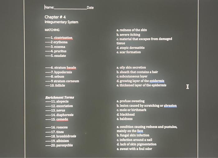 Solved Name: Date Chapter * 4 Integumentary System MATCHivs | Chegg.com