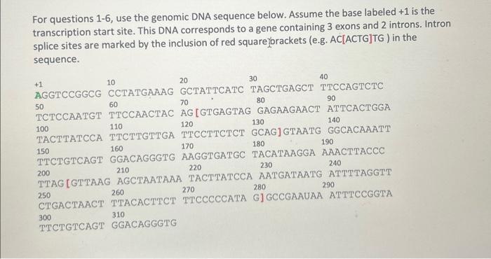 Solved 5.Write the sequence of the protein this gene | Chegg.com
