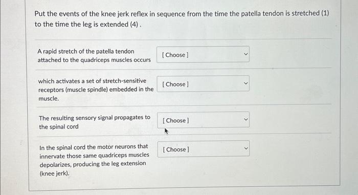 Solved Put the events of the knee jerk reflex in sequence | Chegg.com