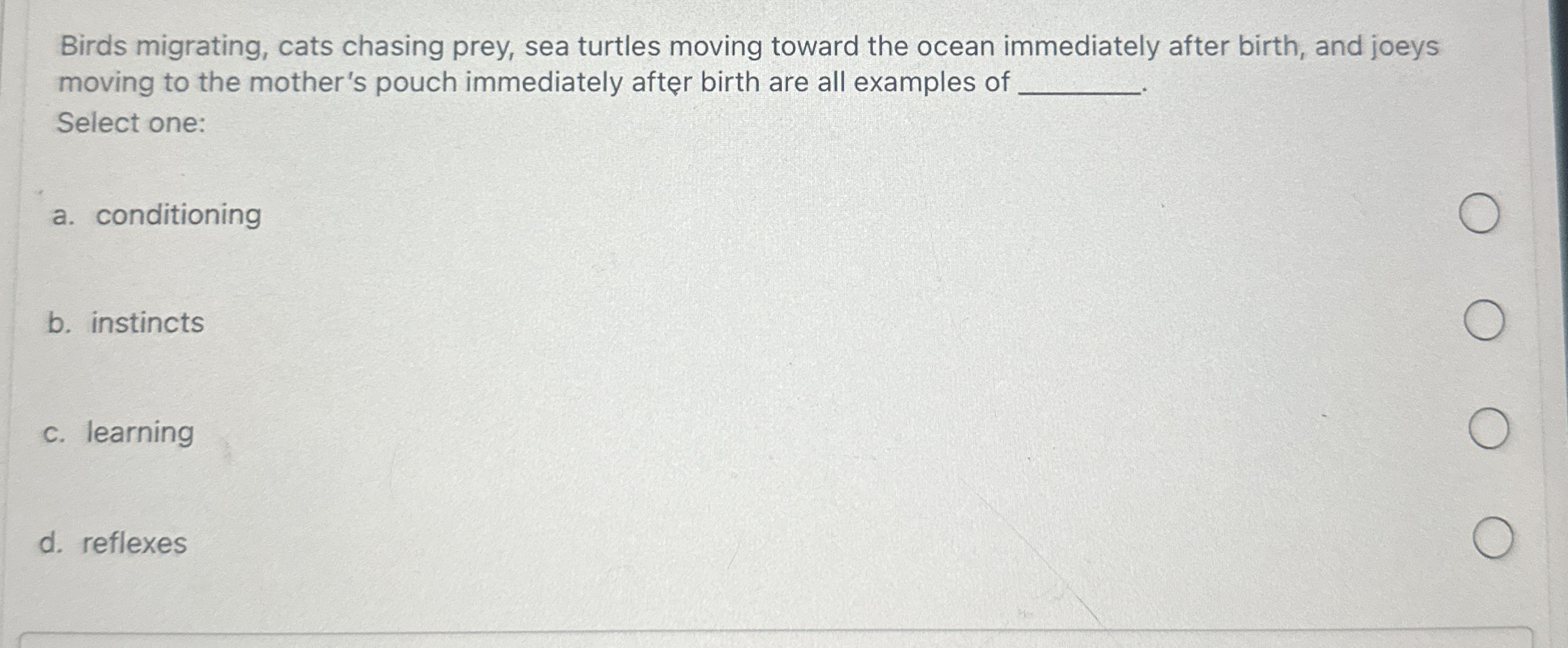 High Quality SOLUTION Birds migrating, cats chasing prey, sea turtles ...