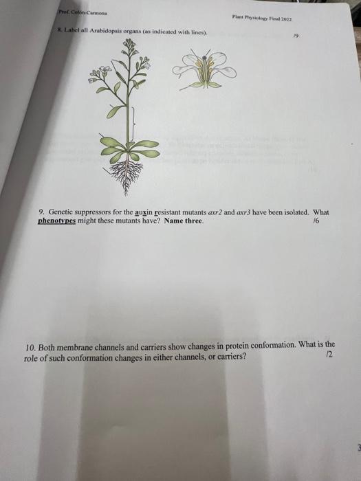 Solved Prof. Colin-Carmona 8. Label all Arabidopsis organs | Chegg.com