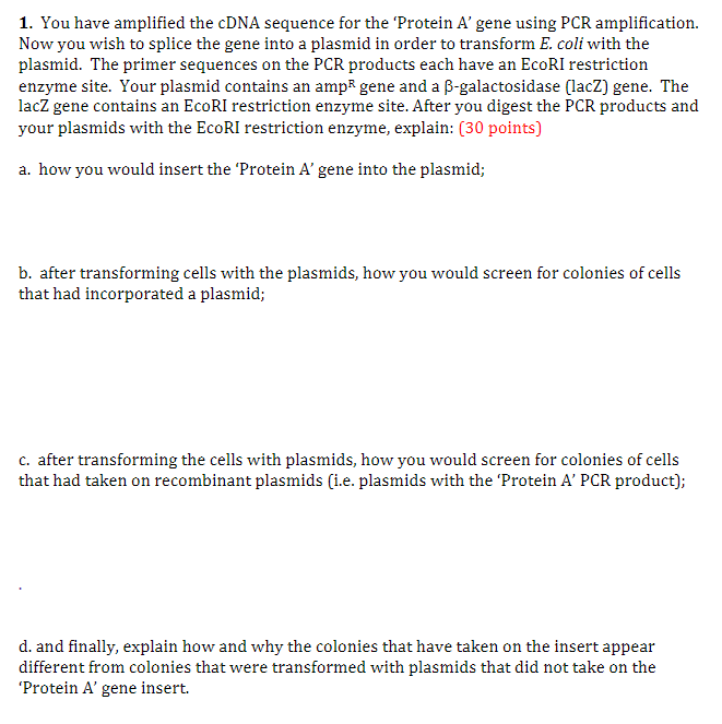 Solved You have amplified the cDNA sequence for the 'Protein | Chegg.com