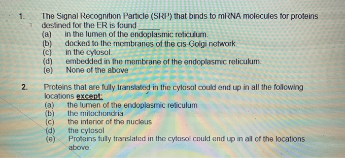 Solved EN The Signal Recognition Particle (SRP) that binds | Chegg.com