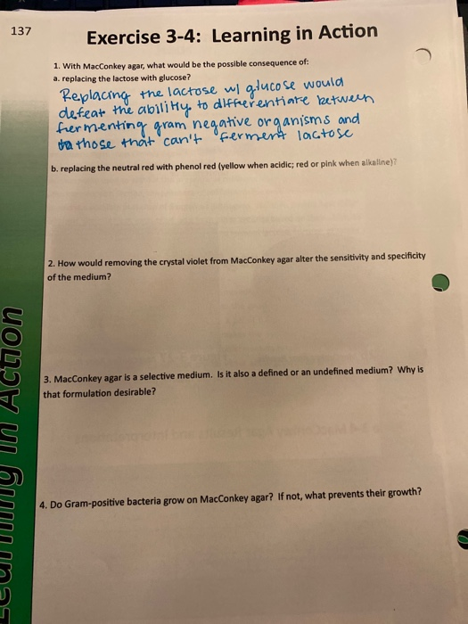 Solved 137 Exercise 3 4 Learning In Action 1 With Chegg