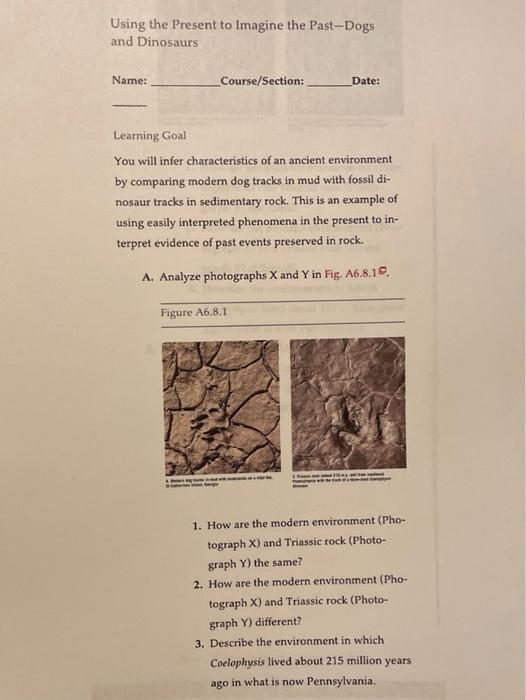 Solved Sedimentary Rock Inquiry Name: Course/Section: Date: | Chegg.com