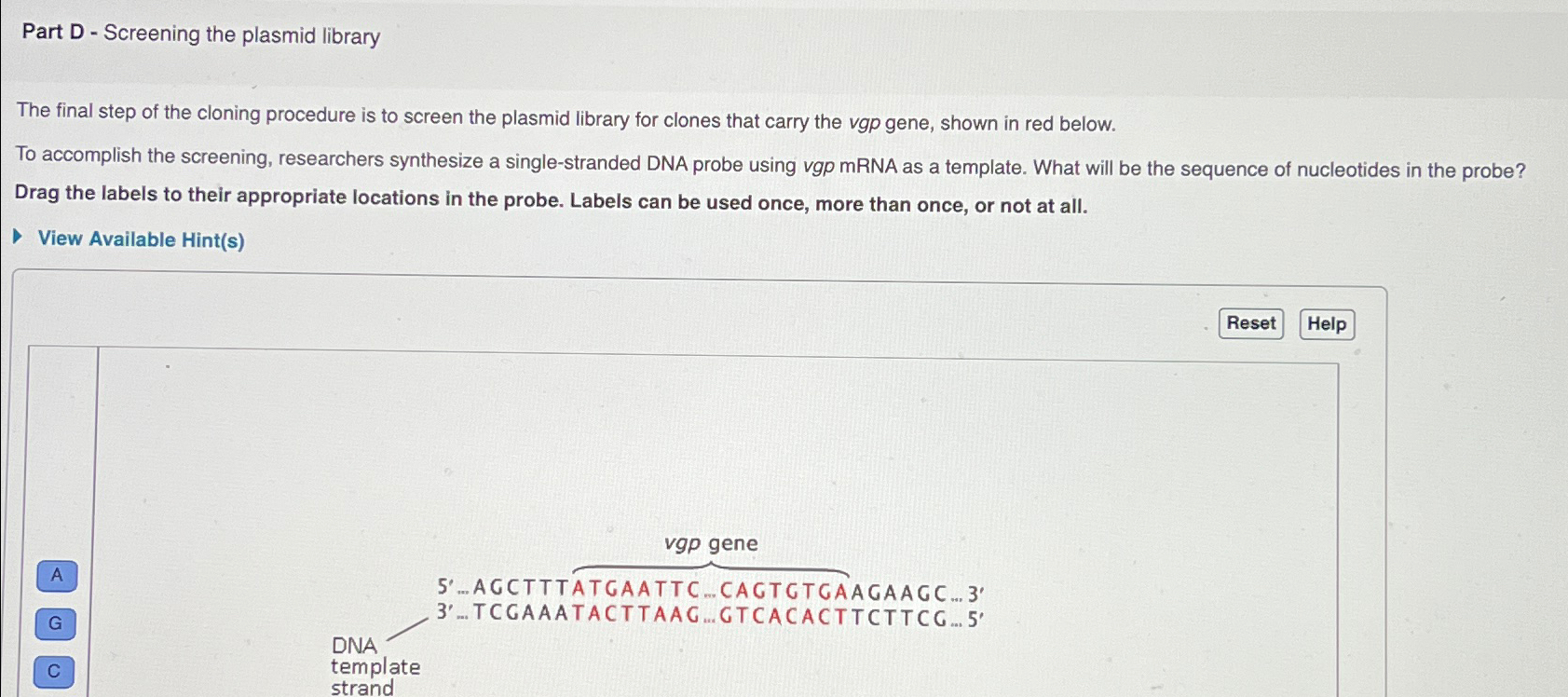 Solved Part D ﻿screening The Plasmid Librarythe Final Step