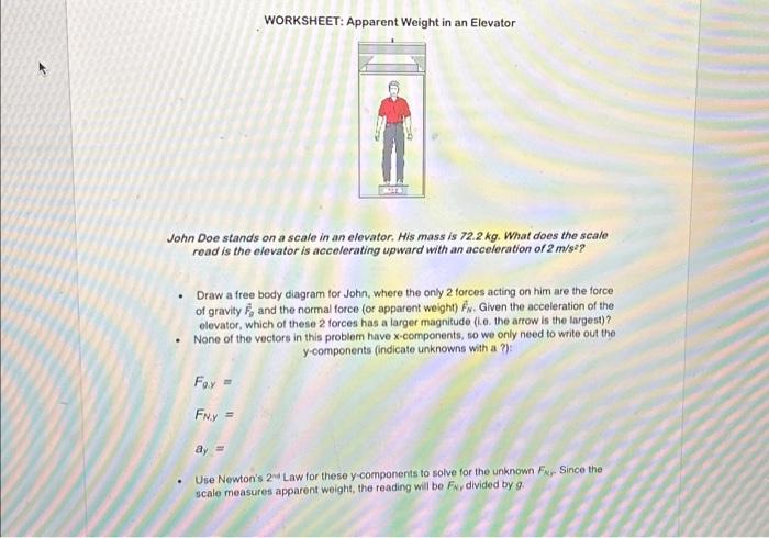 Solved WORKSHEET: Apparent Weight in an Elevator John Doe | Chegg.com