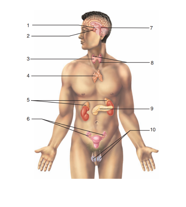 Solved Label the parts | Chegg.com