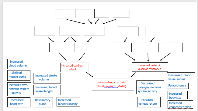 Solved This activity involves a concept map on factors | Chegg.com