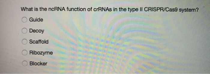 Solved What is the ncRNA function of crRNAs in the type II | Chegg.com