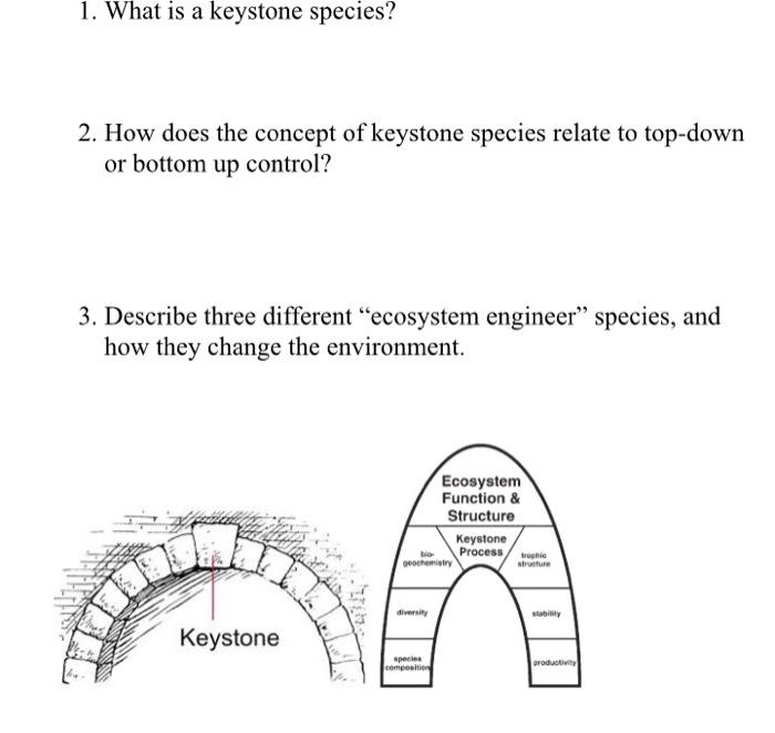 Solved 1. What is a keystone species? 2. How does the | Chegg.com