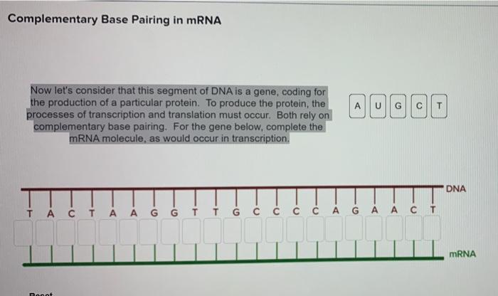 Solved DNA and Base Pairing: Replication of DNA Below is a | Chegg.com